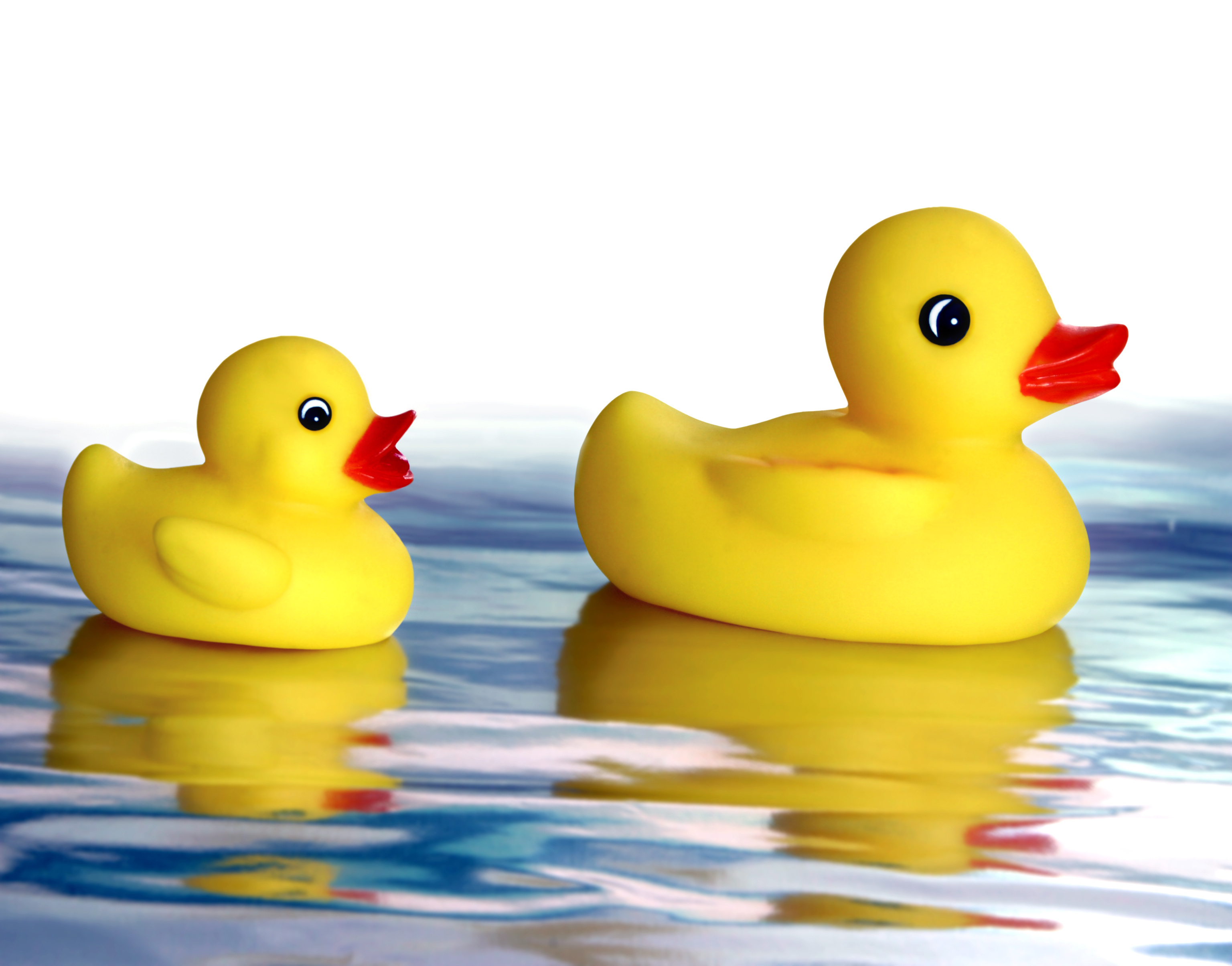 A Number Ducky Storytime | Kansas City, Kansas Public Library